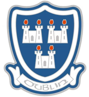 Dublin Coat of Arms Lapel Pin